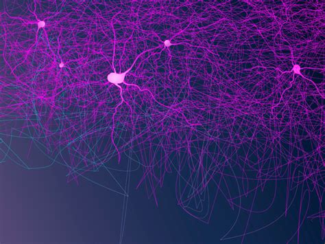 Implementing An Autoencoder In Tensorflow 20 Senti Ai