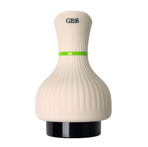 Gess Body Tonus (GESS-313), купить в Москве и СПб | Вакуумный массажер ...