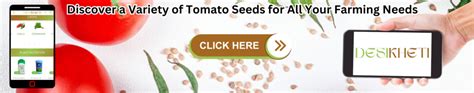 Top 10 Tomato Producing States In India Statewise Overview