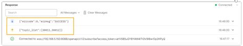 Postman Websocket Api