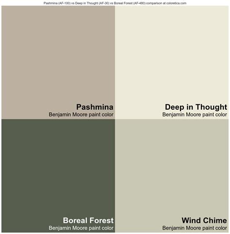 Benjamin Moore Pashmina Vs Deep In Thought Vs Boreal Forest Vs Wind