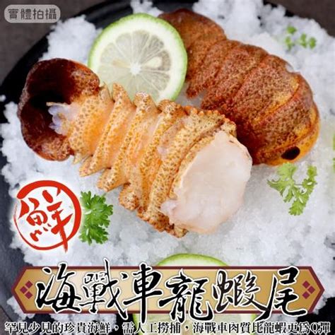 漁村鮮海 優質海戰車龍蝦尾2隻2隻約160g包會員獨享好康折扣活動明蝦虎蝦龍蝦etmall東森購物網
