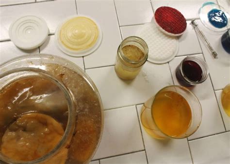 Growduce Uses Bacteria To Form Cellulose Based Products