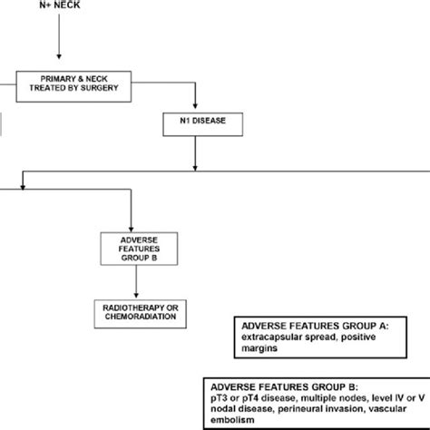 Algorithm For Management Of The N Neck When Surgery Is The Primary Download Scientific Diagram