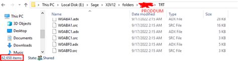 bis import export template from sage passed on seed but failed on