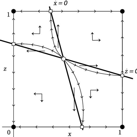 In This Case Only The Stationary States 0 0 And 1 0 Are Download Scientific Diagram