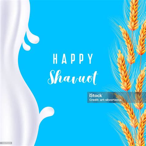해피 샤부오트 우유 밀 벡터 그림입니다 떨어지는 우유 벡터 현실적인 고립 인사말 카드 Shavuot 유대인 휴일과 장식 및 덮개 밀 해피 샤부오트의 개념 Shavuot에