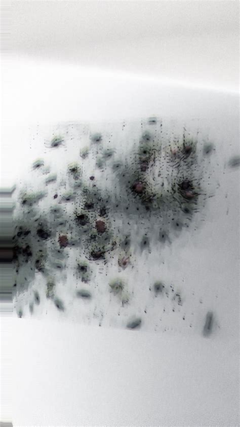 Github Trkstamp Bossmodelvl Project For Computational Dynamics Between Half Dome Shape Tms