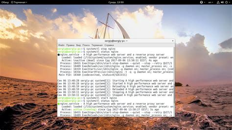 Как перезапустить Nginx Losst