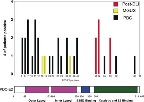 Pdc E2 Peptide Titers In Post Dli And Mgus Patients Serum Samples Were Download Scientific