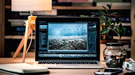 Master Of Visual Arts In Multimedia Postgraduate Courses Degrees VUT