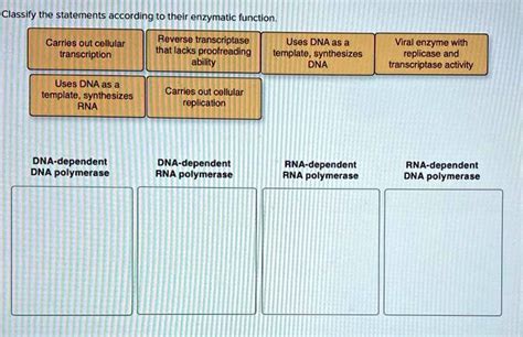 Classify The Statements According To Thelr Enzymatic Function Carrlas