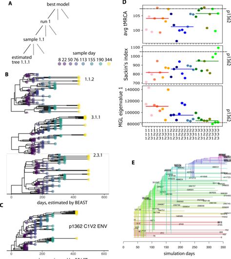 Comparative Analysis Of Experimental And Model Tree Estimation A The Download Scientific