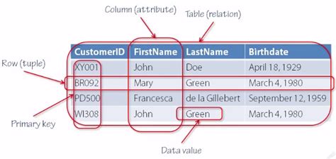 Database Management System Ms Access 2016 By Pratap Sanjay Sir Class 8 Cbse Notes