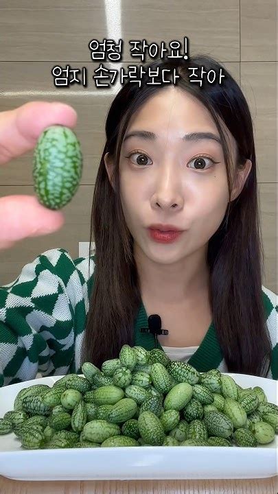 세상에서 제일 작은 수박 쿠카멜론🍉 Youtube