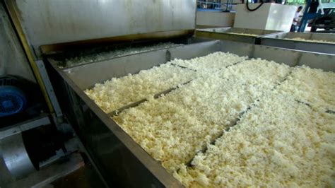 745 Rubber Processing Stock Videos Footage And 4k Video Clips Getty