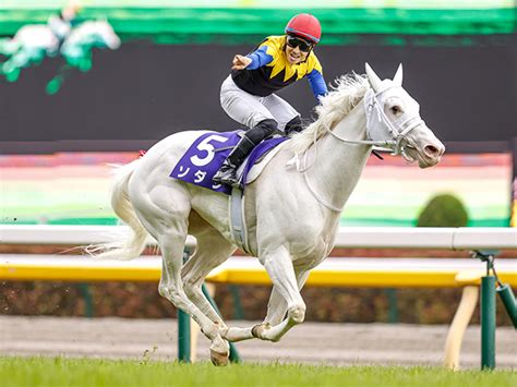 【競馬ファンが選ぶ最優秀マイラー】ソダシとセリフォスの一騎討ちかnetkeiba大賞 中間発表 競馬ニュース Netkeiba
