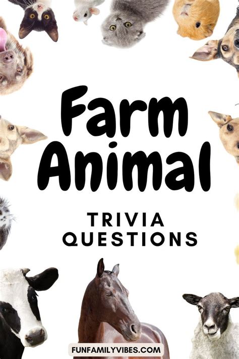 Fun Farm Animal Trivia Questions and Answers | Farm animals, Big cat species, Baby ferrets