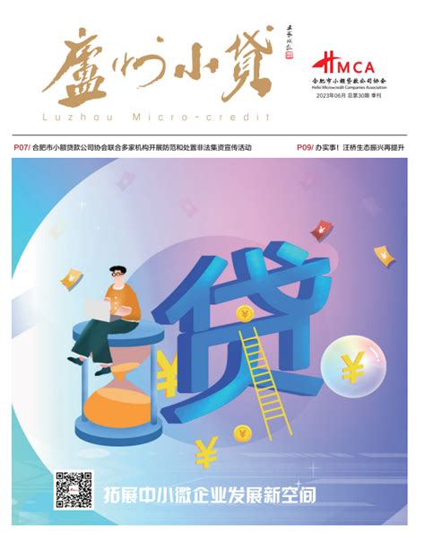 合肥市小额贷款公司协会