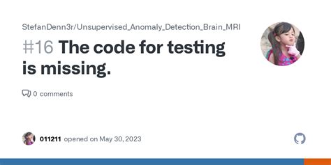 The Code For Testing Is Missing · Issue 16 · Stefandenn3r