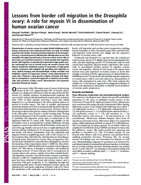 Pdf Lessons From Border Cell Migration In The Drosophila Ovary A