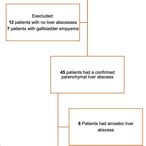 Flowchart Showing Selection Of Patients With Liver Abscesses Included