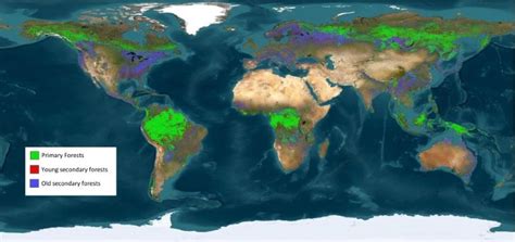 Classification Of Global Forests For Ipcc Aboveground Biomass Tier 1 Estimates 2020