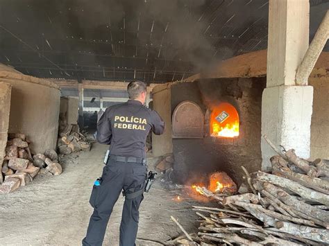 Pf Incinera Mais De 15 Tonelada De Drogas No Ceará — Polícia Federal