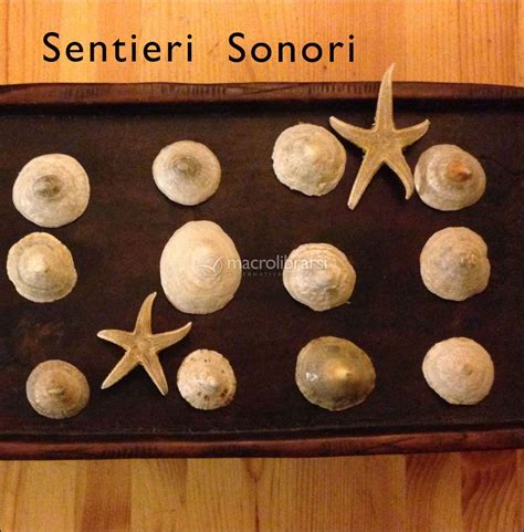 Sentieri Sonori Cd Di Vivi Armonico Macrolibrarsiit