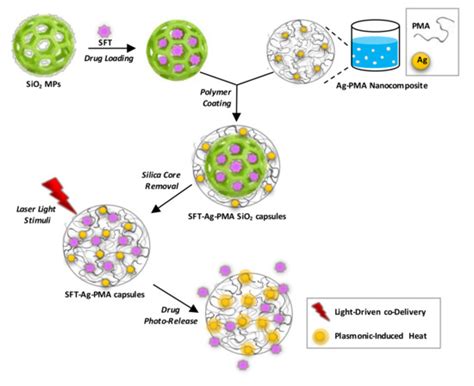 Molecules Free Full Text Plasmon Enhanced Controlled Drug Release