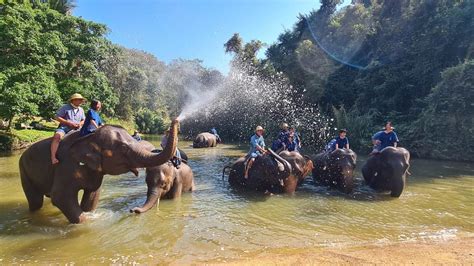 Photo Gallery สถาบันคชบาลแห่งชาติ ในพระอุปถัมภ์ฯ ศูนย์อนุรักษ์ช้างไทย ลำปาง บ้านหลังใหม่ของ