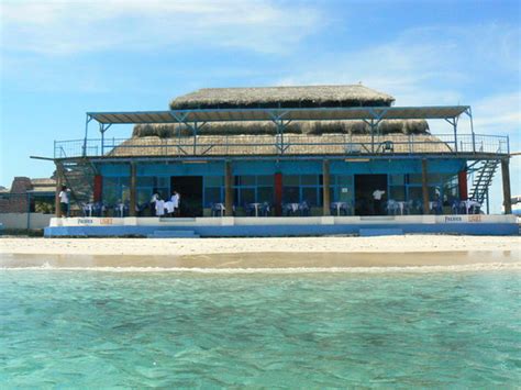 Club De Playa El Tecolote La Paz Lo Que Se Debe Saber Antes De