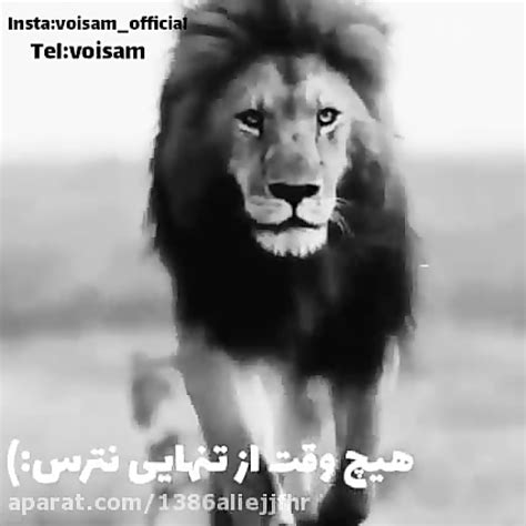 هیچ وقت از تنهایی نترس