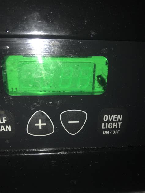 Theres A Cockroach In My Stove Clock Rmildlyinfuriating