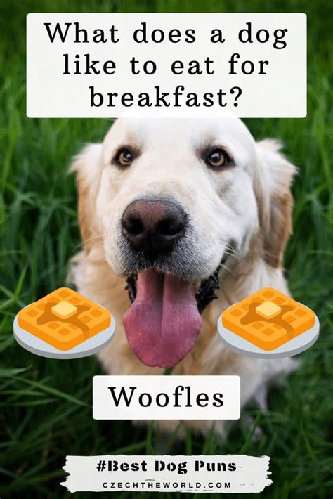 193 Best Dog Puns Fur Bulous And Ulti Mutt Collection