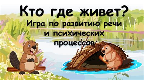 Кто где живет Игра по развитию речи и психических процессов Youtube