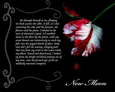 Twilight Quotes Wallpaper Twilight Quotes Wallpaper