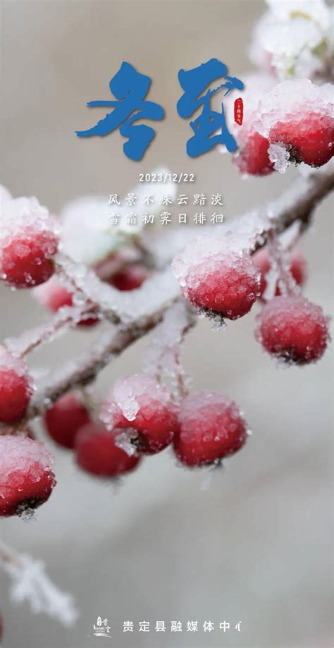 24节气今日冬至恰遇雾凇贵定冬至仙气十足 自然 民间 节日