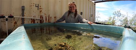Noaa Coral Reef Conservation Program Crcp Home Page