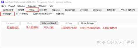 【2023最新版】超详细burp Suite安装保姆级教程，burp Suite的基本介绍及使用，收藏这一篇就够了 知乎