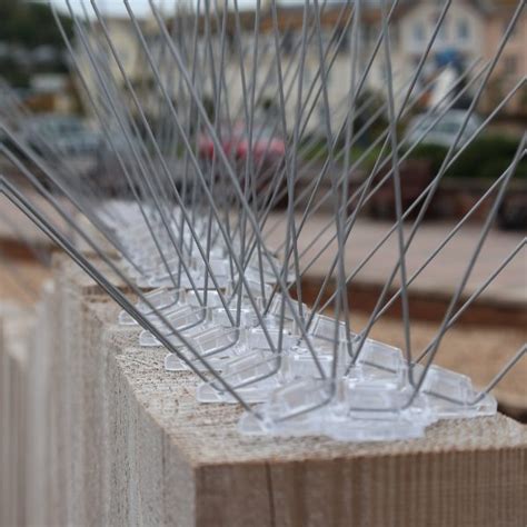 Defender® Extreme Stainless Steel Gull Spike Stops Seagulls