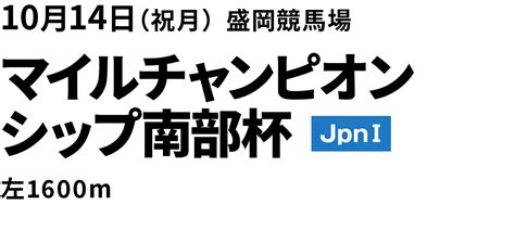 出馬表／出走予定馬｜マイルチャンピオンシップ南部杯 2024年｜ダートグレード競走特設サイト