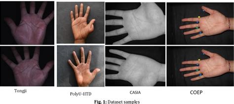 figure 1 from palm print recognition system using siamese network and
