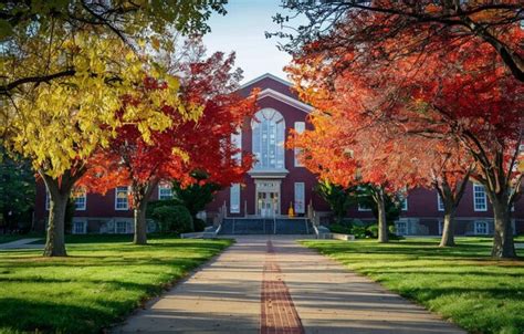 Beautiful Trees Of College Premium Ai Generated Image