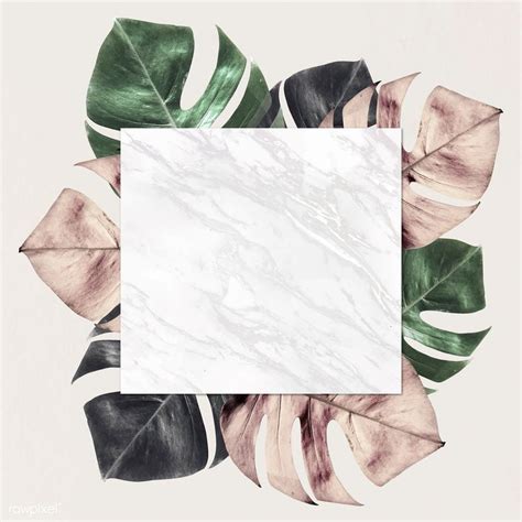 Download Premium Vector Of Square Frame On Metallic Split Leaf Pattern