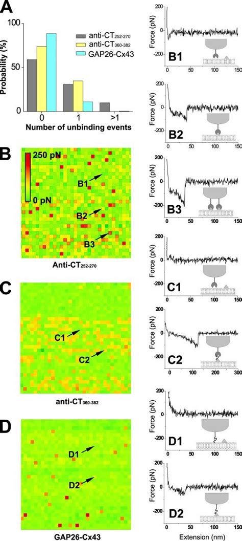 A Distribution Of Specific Unbinding Events B D Force Volume Download Scientific Diagram