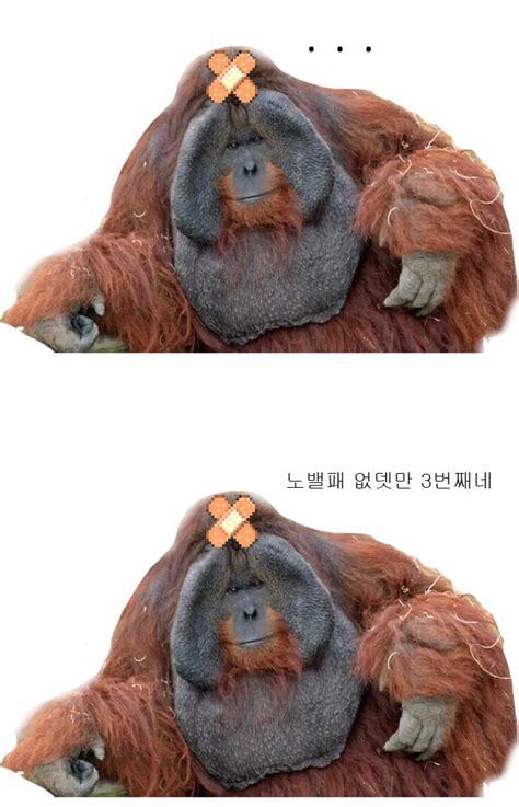 메이플스토리 인벤 테섭 반응 요약 메이플스토리 인벤 자유게시판
