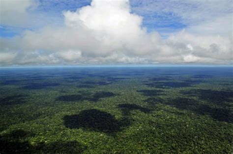 Arremetida Contra El Amazonas