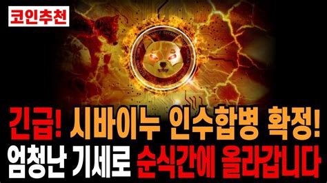 코인추천 긴급 시바이누 인수합병 확정 엄청난 기세로 순식간에 올라갑니다 Youtube