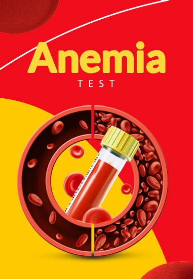 Anemia Tests Bedewy Labs